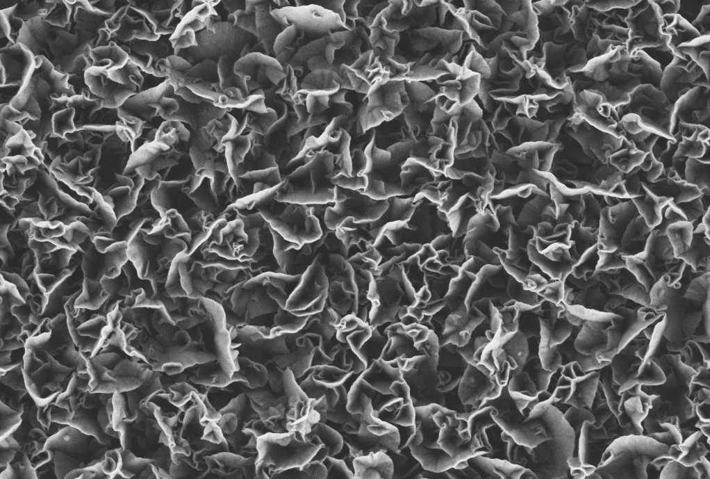 Dr Colm Durkan - Nanoscale Engineering - ICAM