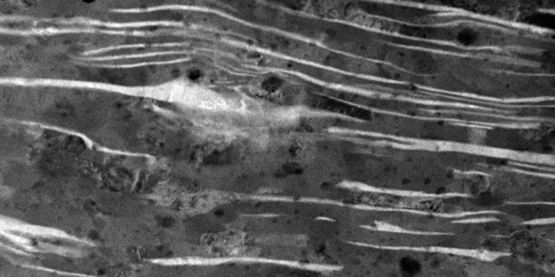 Professor Pascal Bellon - Self-Organized Metallic Alloys for Wear ...